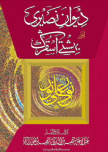 Allamah Nasir Hunzai Urdu Books - Allamah Nasir uddin Nasir Hunzai